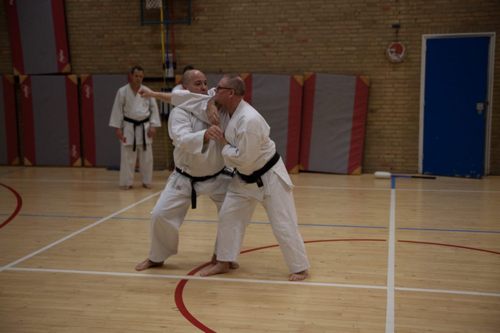 Impressie Stage Ronald van der Haak November 2019 - Dokan Budo Foundation