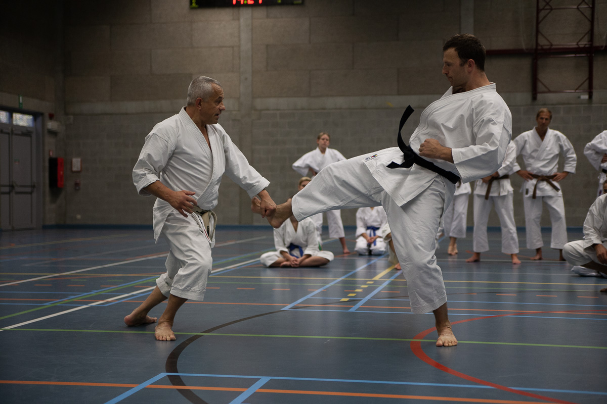 Impressie stage Pascal Lecourt November 2019 - Dokan Budo Foundation