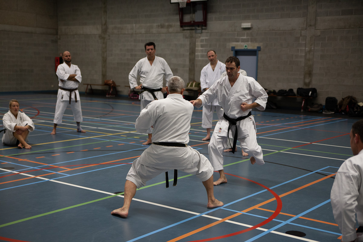 Impressie stage Pascal Lecourt November 2019 - Dokan Budo Foundation