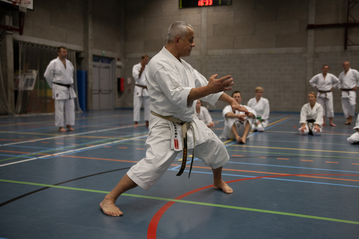 Impressie stage Pascal Lecourt November 2019 - Dokan Budo Foundation