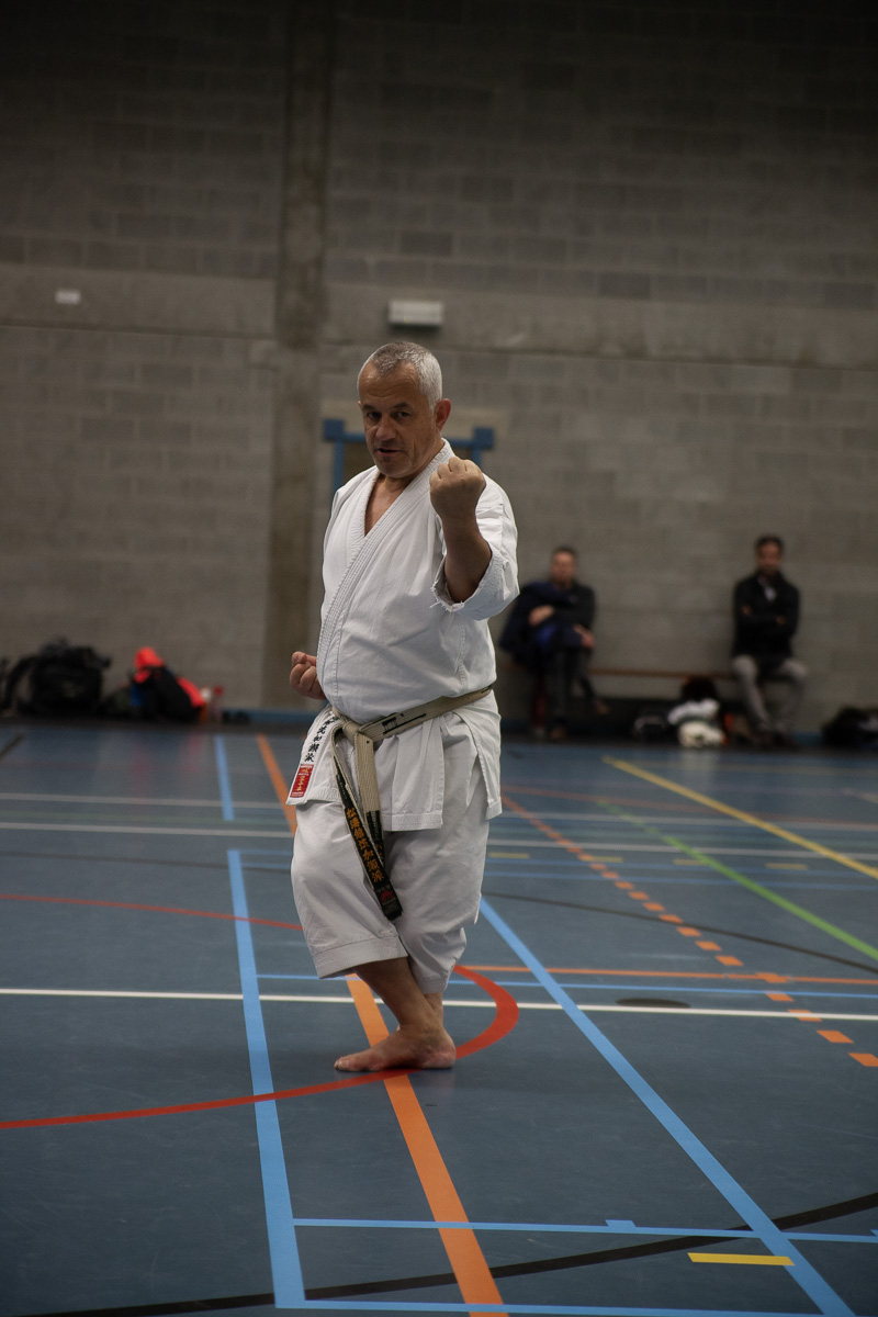 Impressie stage Pascal Lecourt November 2019 - Dokan Budo Foundation