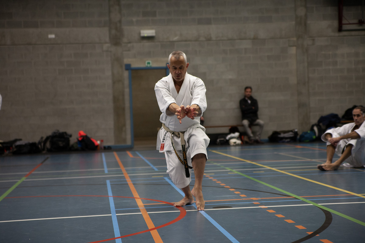 Impressie stage Pascal Lecourt November 2019 - Dokan Budo Foundation